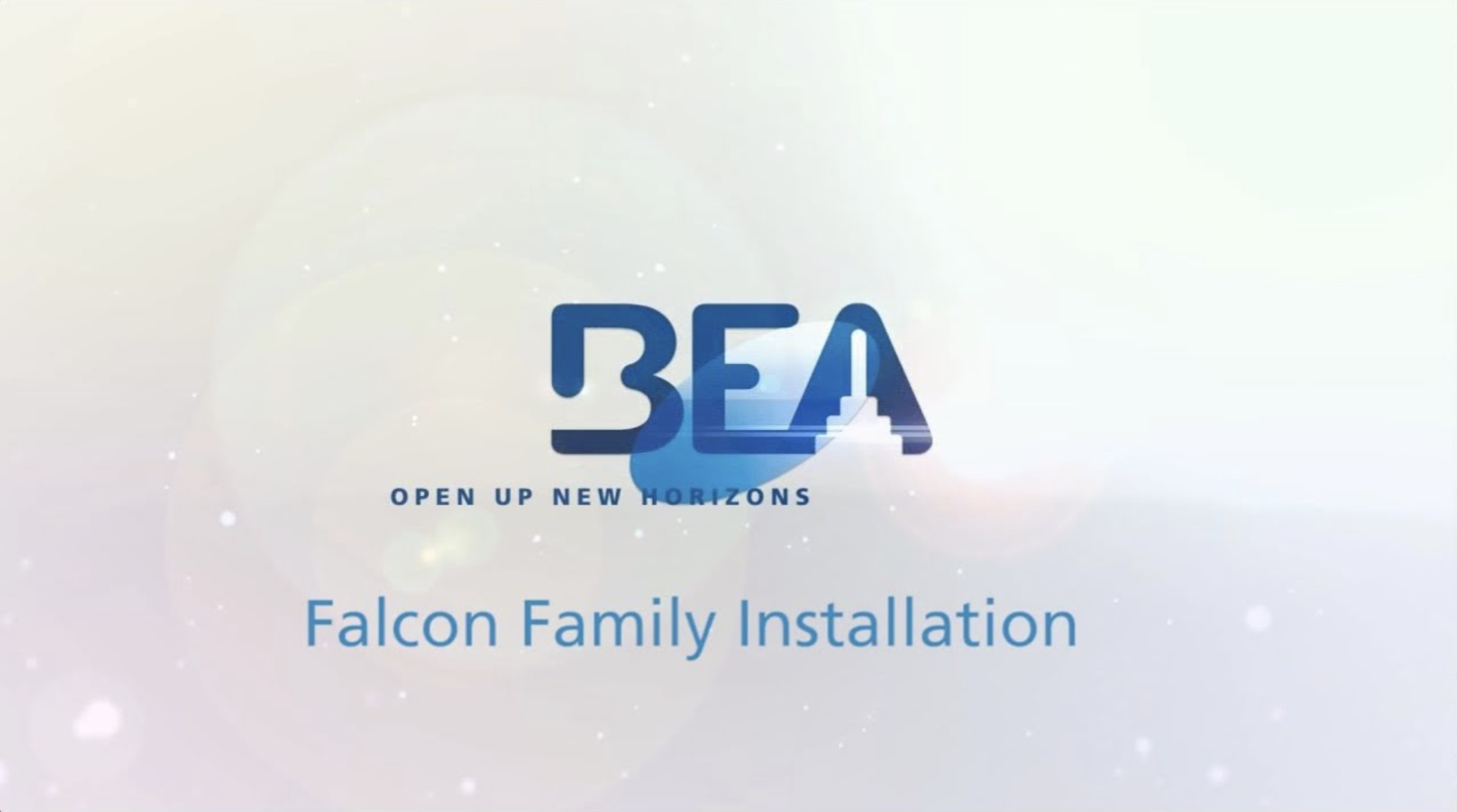 FALCON FAMILY | BEA Americas